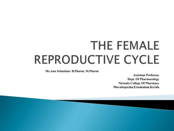 Menstrual Cycle | PPT | Menopause | Endocrine and Metabolic Diseases