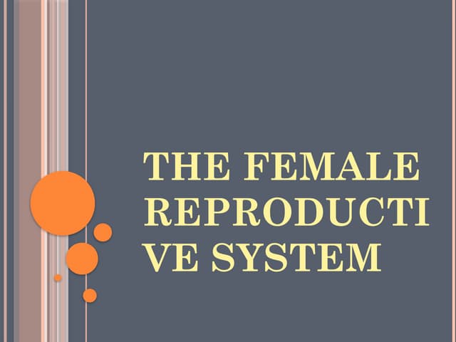 Anatomy of Female internal genitalia.pptx