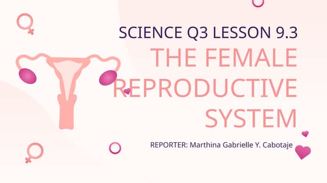 Reproductive System | PDF