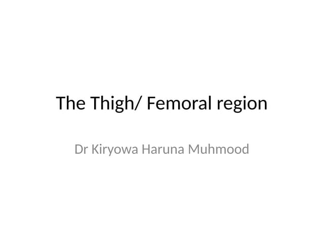 anatomy of thigh | PPTX