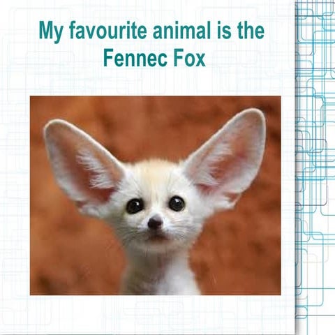 The Fennex fox | PPT