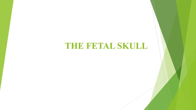 Fetal skull | PPT