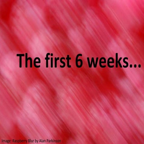 The First 6 Weeks | PPT