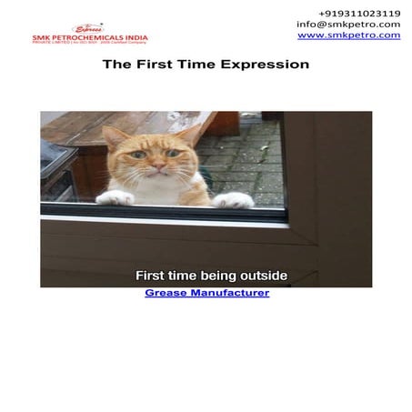 Expression of First Time | PDF