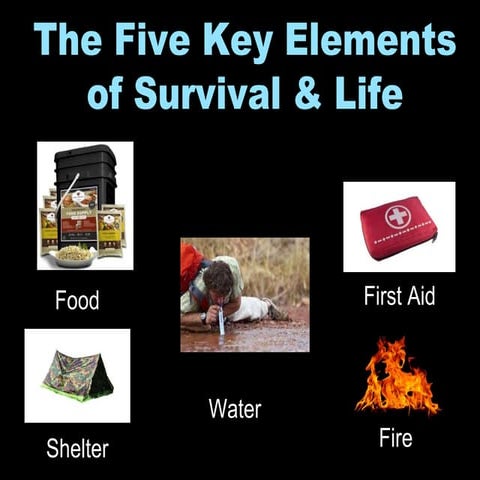 The Five Key Elements Of Survival & Life | PPTX | First Aid | Injuries