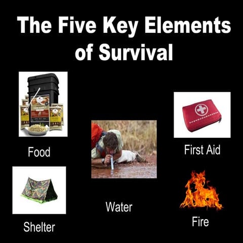 What Are The Five Key Elements Of Survival & Life | PPT
