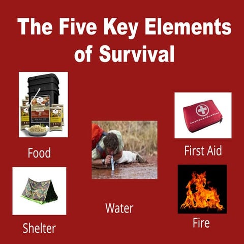 What Are The Five Key Elements Of Survival & Life | PPTX