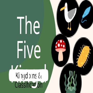 The Five Kingdoms Biology Presentation in a Green Illustrative Style ...