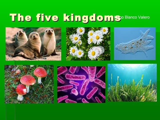 The 5 kingdoms | PPT