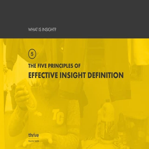 What Is Insight? The Five Principles of Effective Insight Definition | PDF