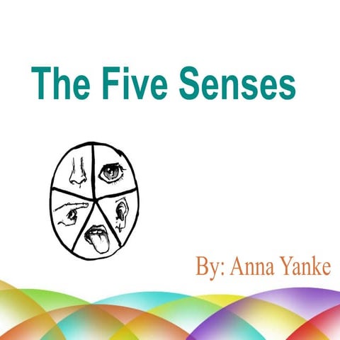 The Five Senses Powerpoint | PPTX