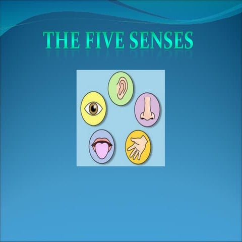 The five senses | PPT