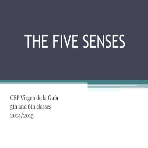 The five senses presentation | PPTX | Perfume and Fragrance | Beauty