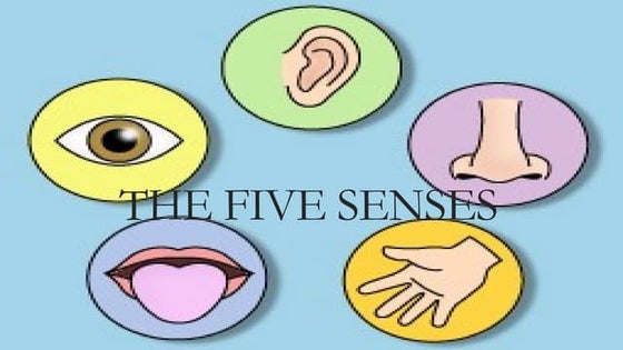 All nokia master codes | RTF