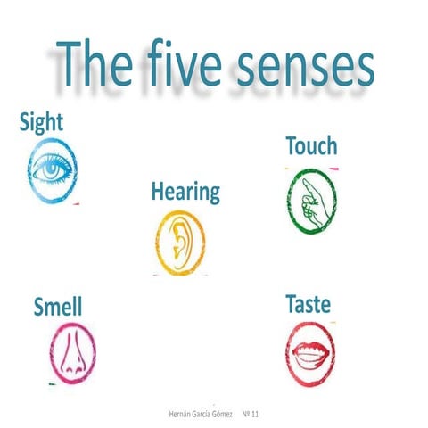 The senses | PPT