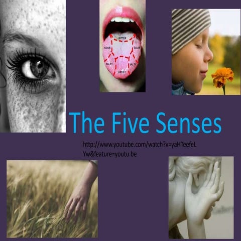The five senses | PPTX