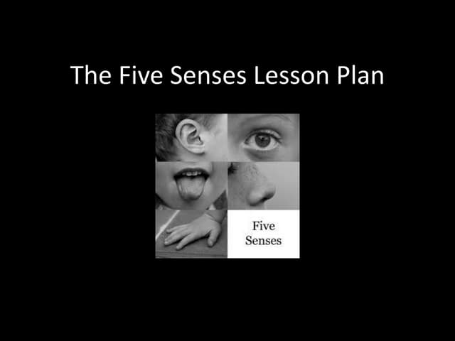 5 senses final | PPT