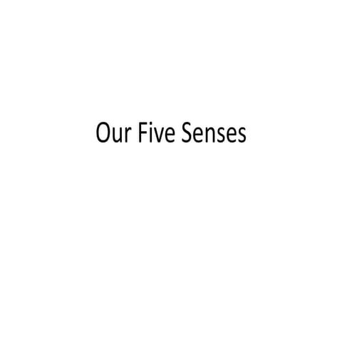 The Five senses | PPT