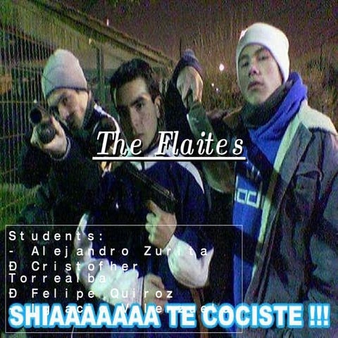 The flaites | PPT