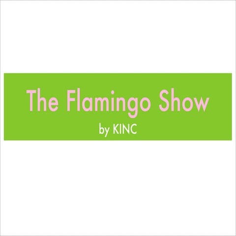 The Flamingo Show | PDF | Retail Industry | Industries