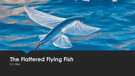 Poetry-unit-The-Boxer (poetry lesson ) | PPTX