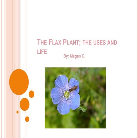 The flax plant | PPT