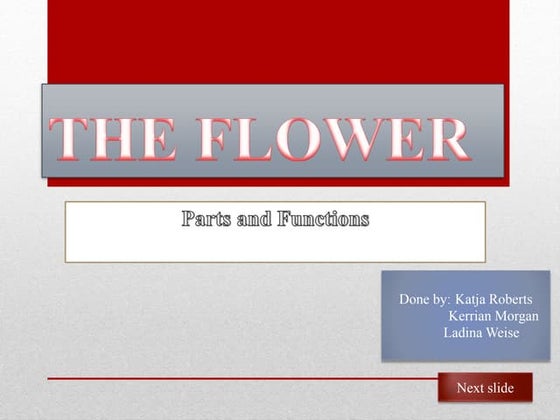 Parts of the flower | PPT | Gardening | Home & Garden