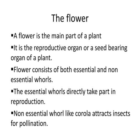 The flower | PPT