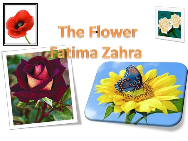 plant taxonomy (Corolla) .pptx