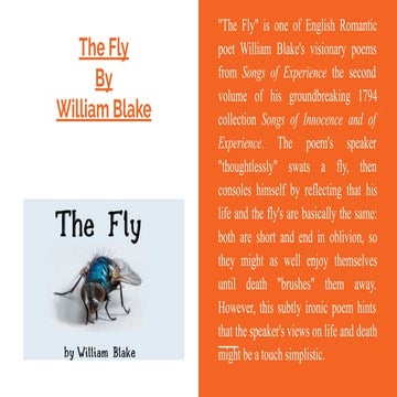 The Fly By William Blake.pdf
