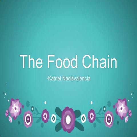 The Food Chain | PPT