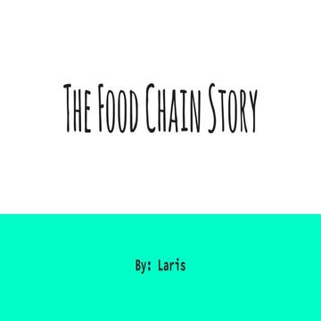 Food Chain Story | PPTX