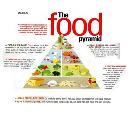 The Food Pyramid | PDF