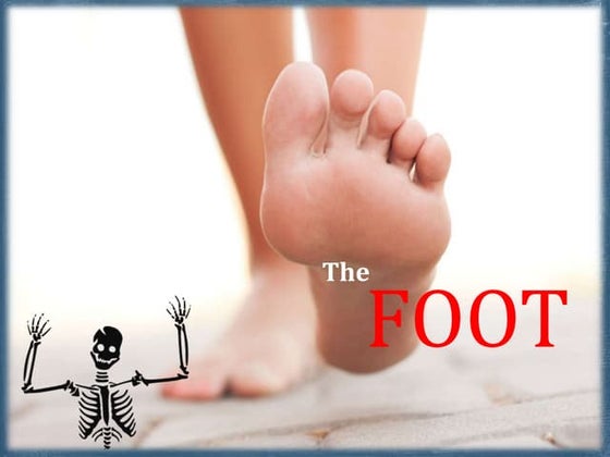 Foot anatomy ppt | PPT