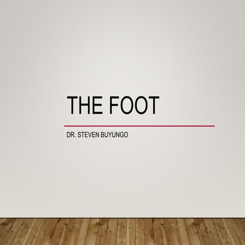 The foot | PPTX
