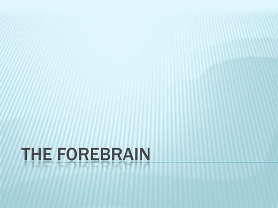 Forebrain | PDF