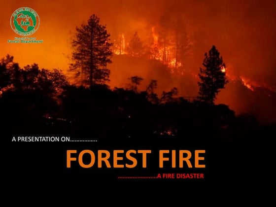 Disaster management forest fire | PDF