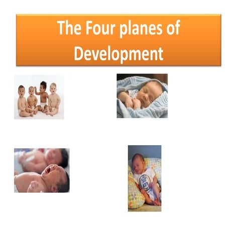 The four planes of development | PPTX
