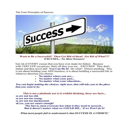 The four principles of success | PDF