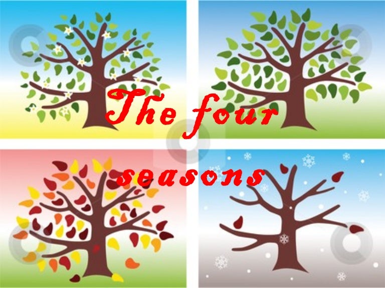 The four seasons