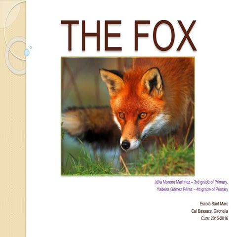 The fox | PPTX