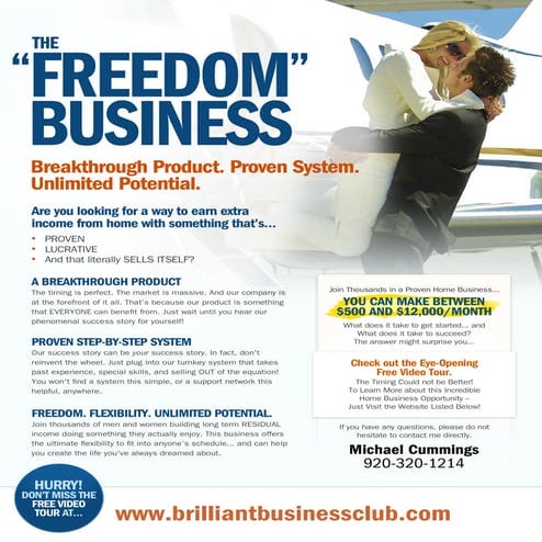 The Financial Freedom Business flyer | PDF