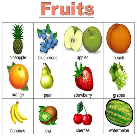 The fruits | PPTX