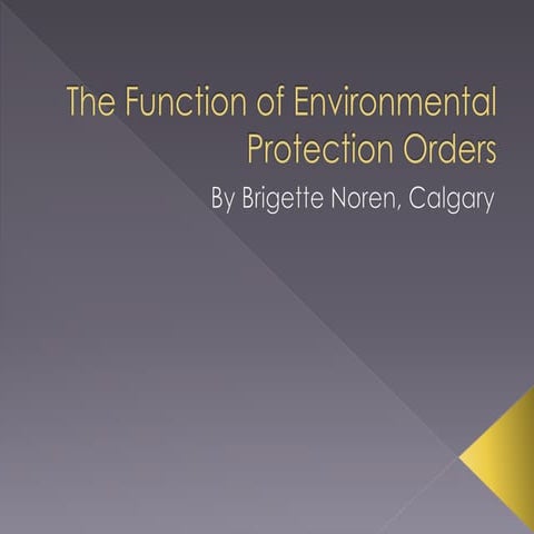 Brigette Noren Calgary presentations