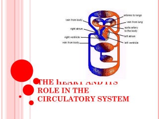 «Натуральные бытовые средства» | PPT