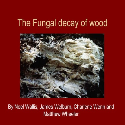 The Fungal Decay Of Wood 1 1 | PPT