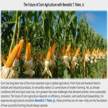 The Future of Corn Agriculture with Benedict T. Palen, Jr..pptx