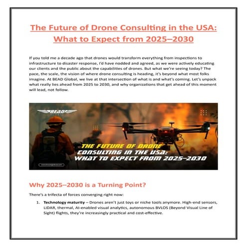 The Future of Drone Consulting in the USA: A 2025–2030 Strategic ...