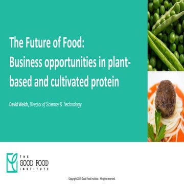 The future of food: business opportunities in alternative proteins | PDF