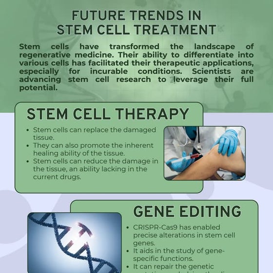 The Healing Potential of Stem Cells.pdf